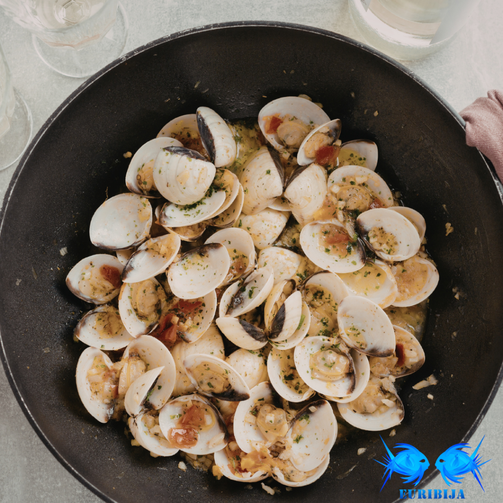 Japoninės Meilutės (white clams) - Euribija